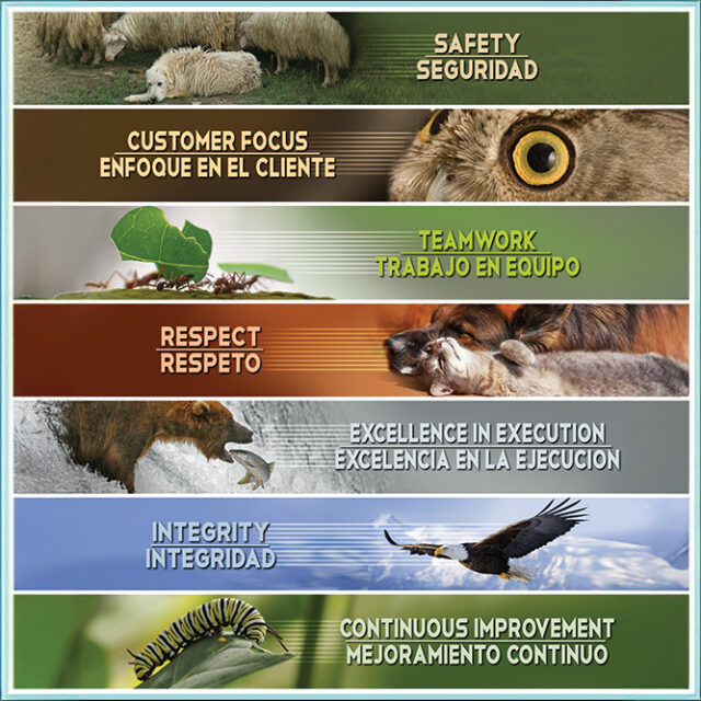 Core Values - SolvChem® Holding